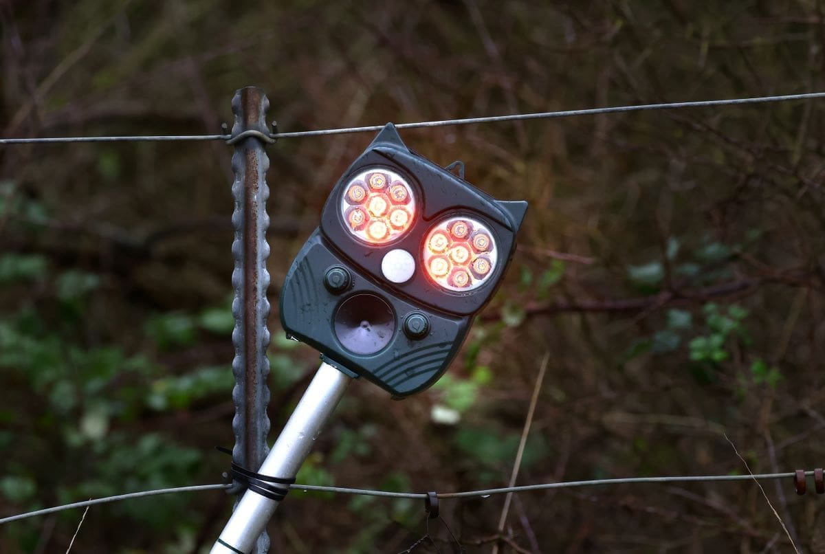 LNER and Network Rail innovate to deter deer from railway tracks | The ...