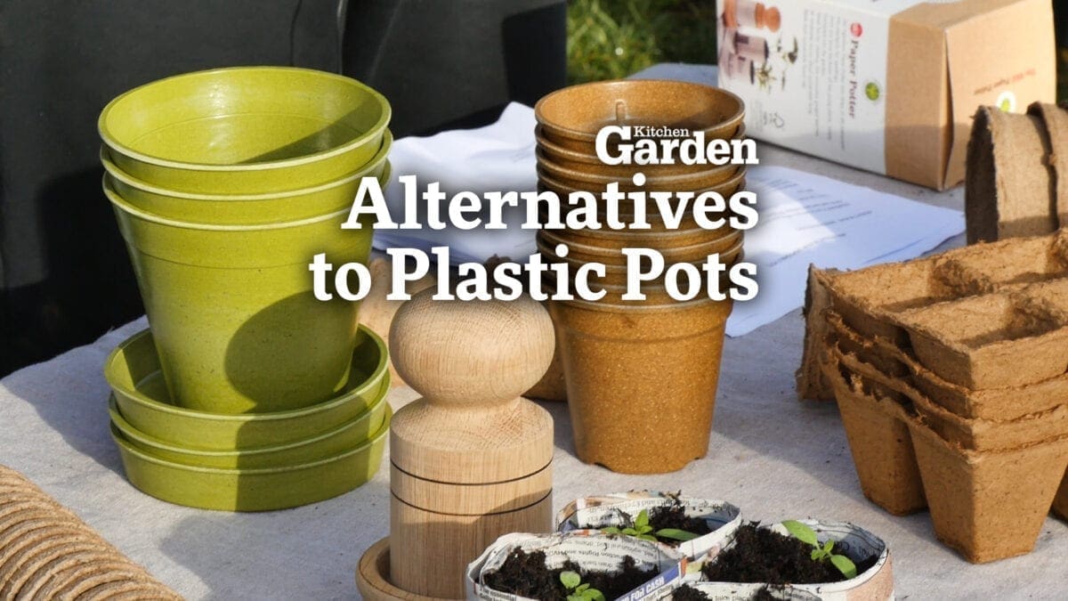 Video: Clever Alternatives to Plastic Pots | Kitchen Garden Magazine
