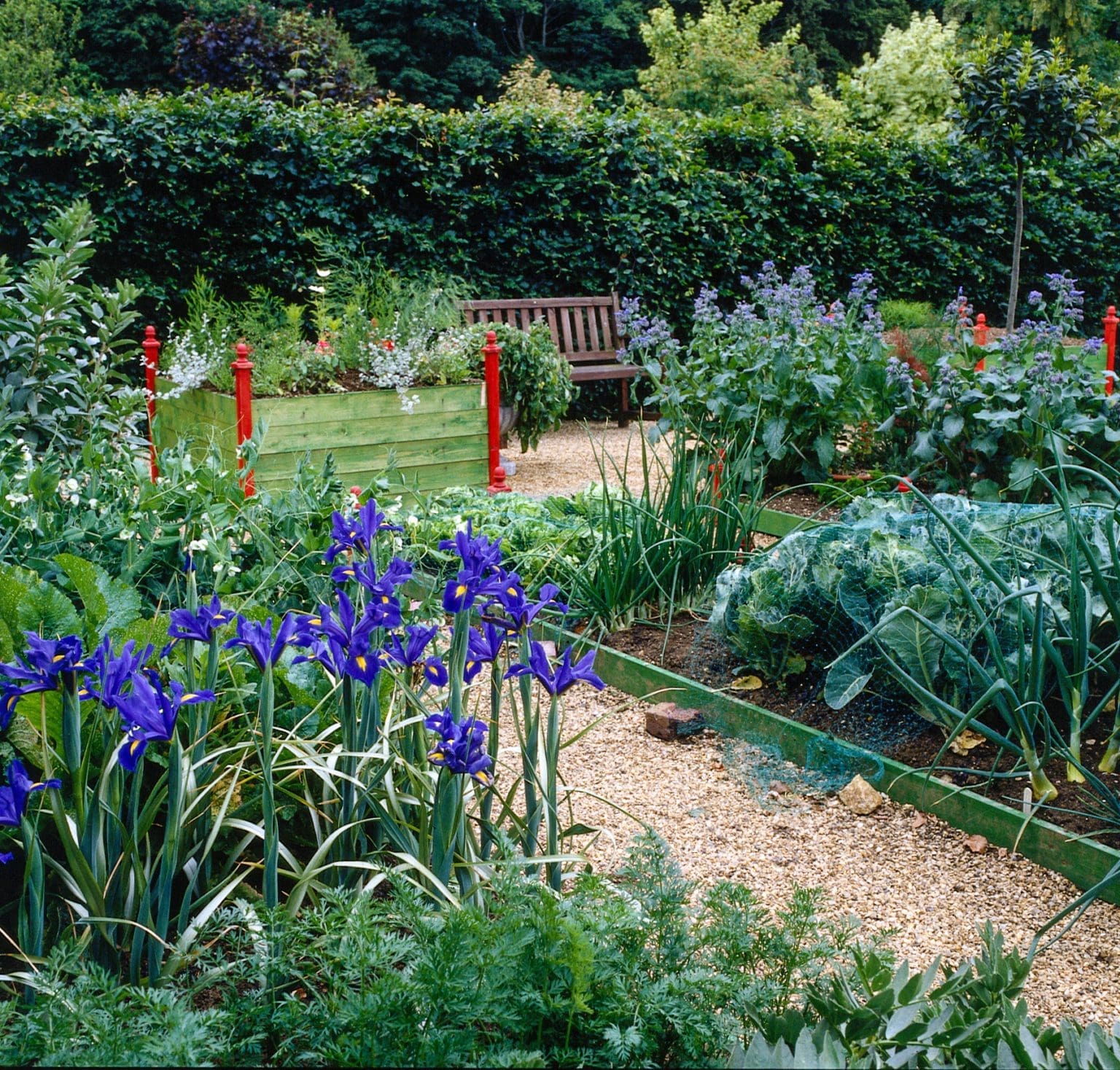 Celebrate The 40th Anniversary of Barnsdale Gardens | Kitchen Garden ...