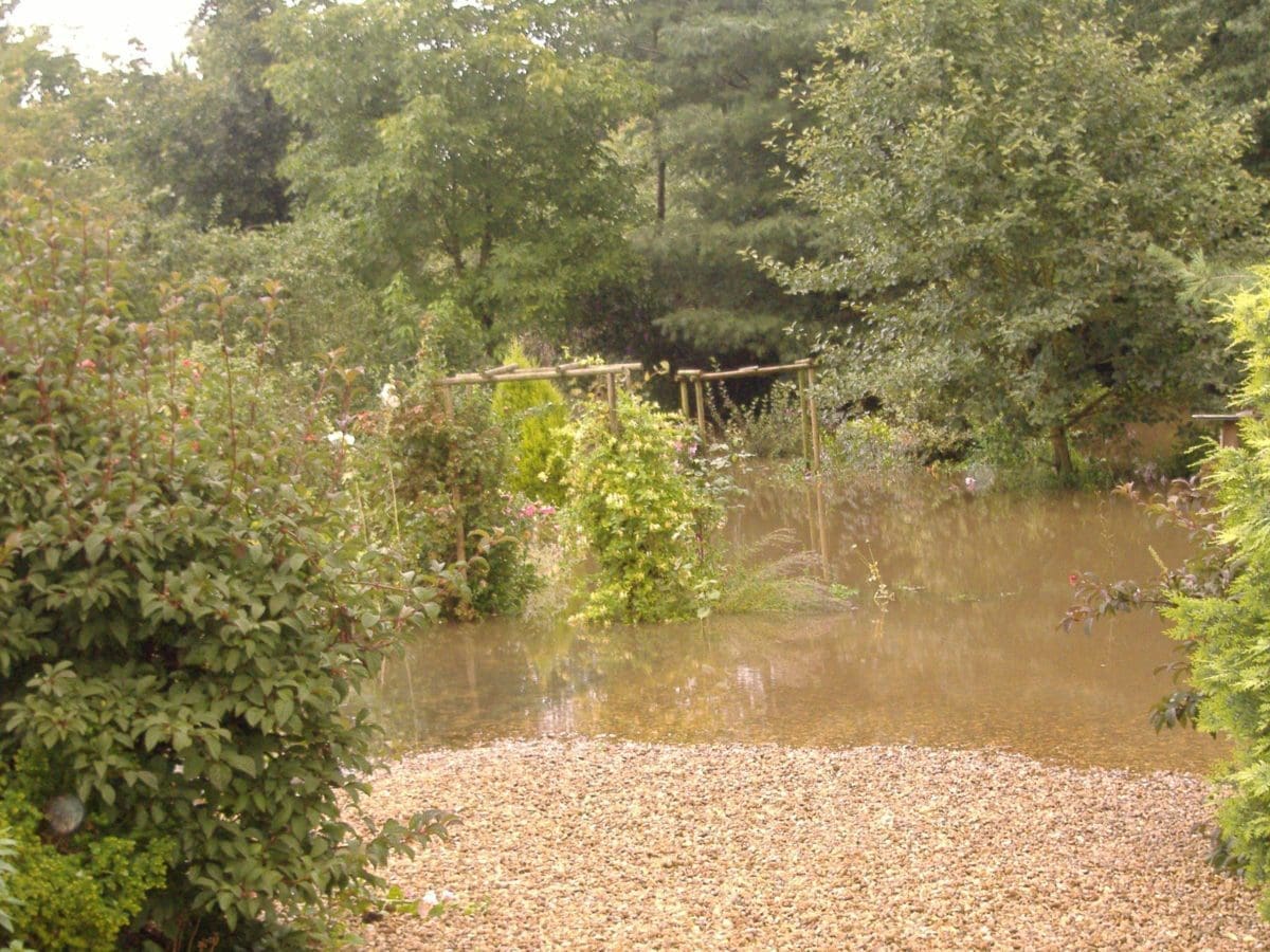Protect your garden before, during and after flooding | Kitchen Garden ...