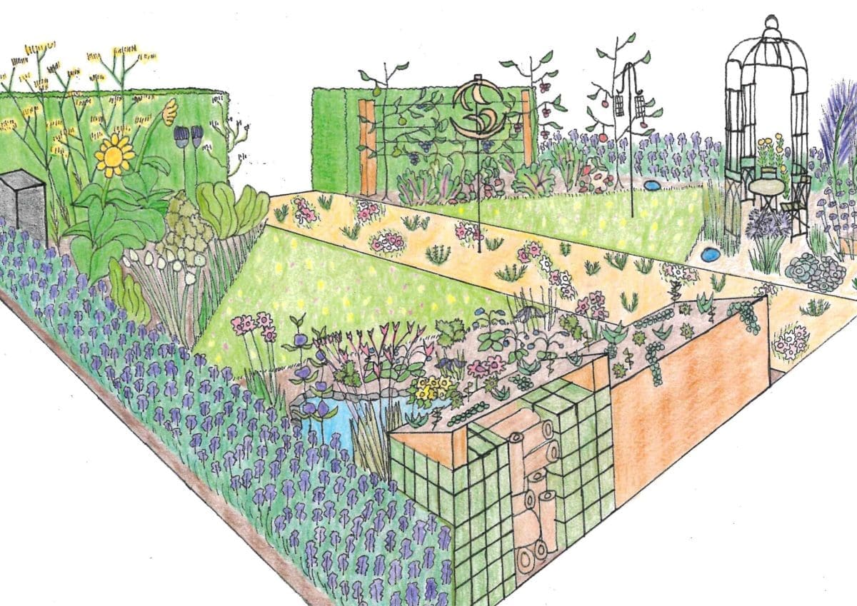 BOOST YOUR BACK GARDEN BIODIVERSITY - Kitchen Garden