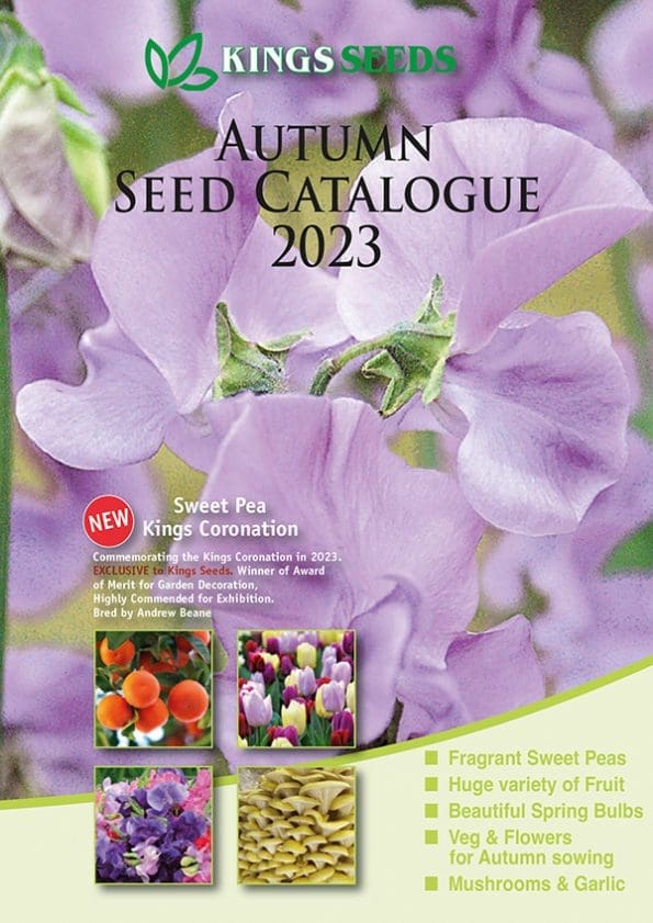Kings Seeds' brand new Autumn Catalogue | Kitchen Garden Magazine