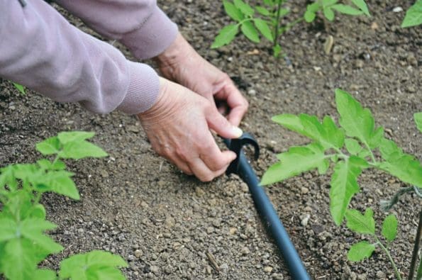 How to set up a drip irrigation kit step-by-step (with pictures)