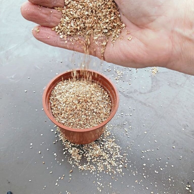 How to make your own peat-free potting compost | Kitchen Garden