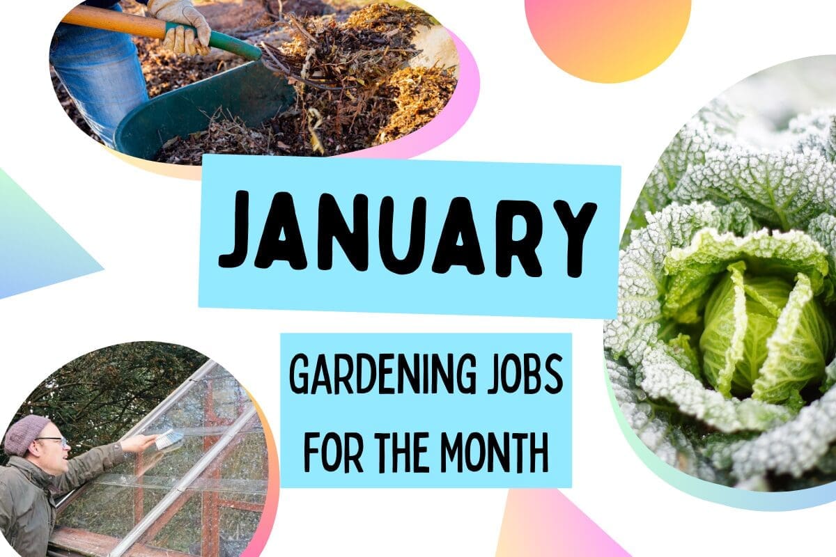 Jobs For The Month Archives | Kitchen Garden Magazine