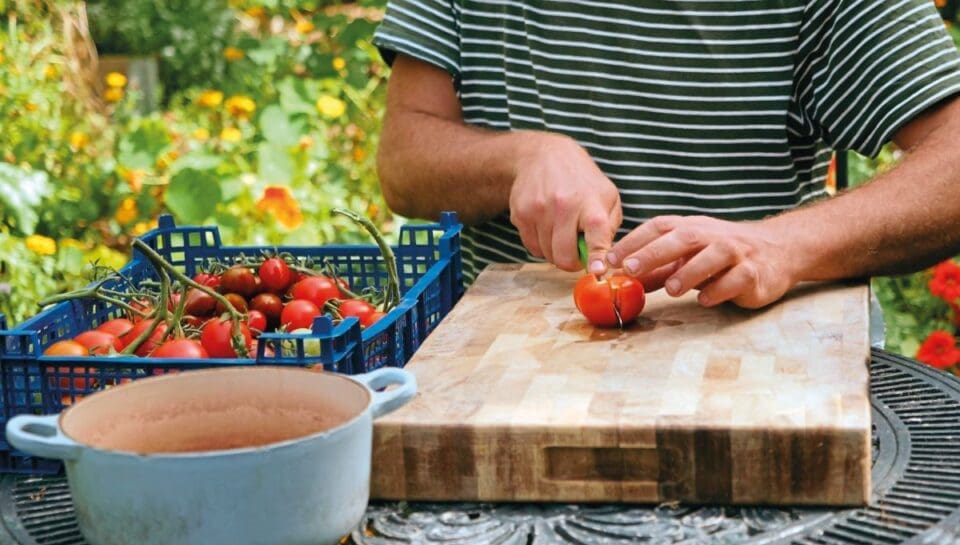 Too many tomatoes? 4 ways to use and preserve tomatoes and prevent ...