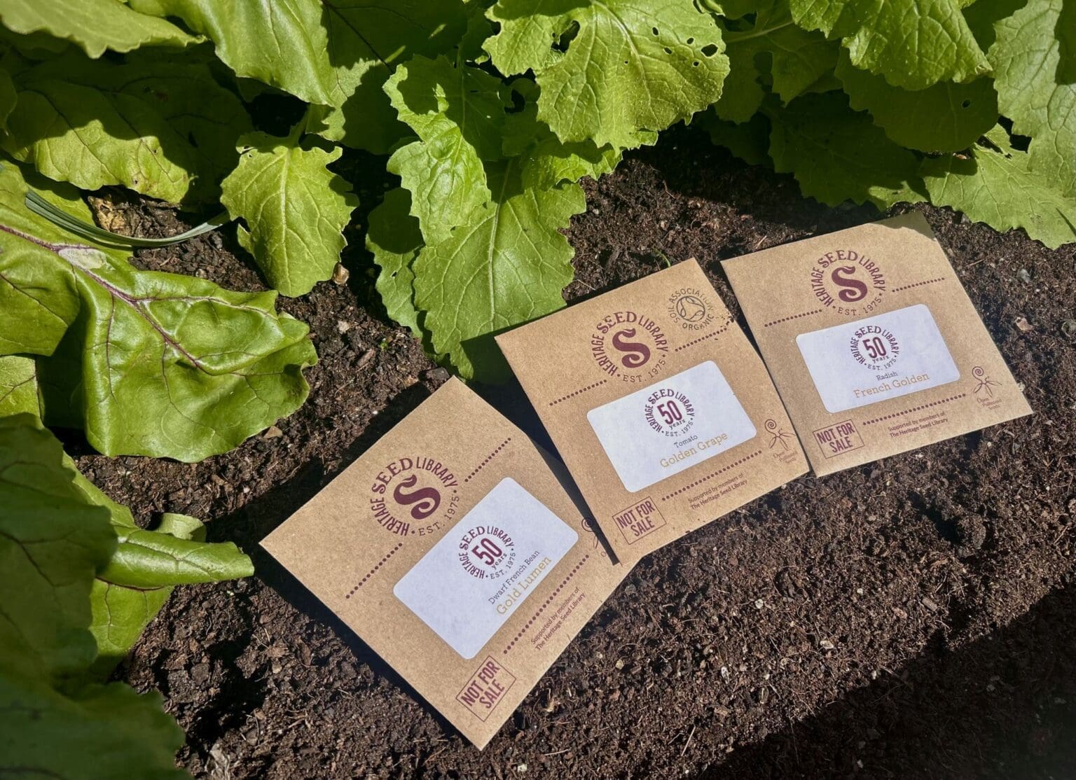 Seed relay race across the UK to celebrate 50 years of the Heritage ...