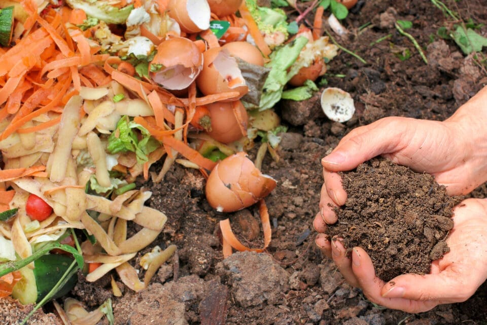 Compost troubleshooting: How to fix common composting problems | Kitchen Garden Magazine