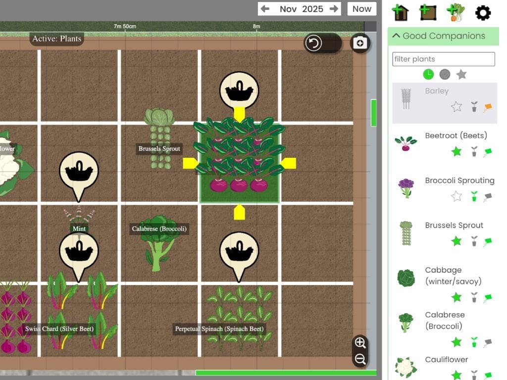 Plan Your Perfect Plot with VegPlotter: The Smart Way to Garden ...