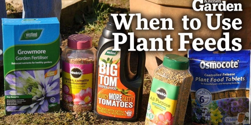 Video: When to Use Plant Feeds - Mudketeers